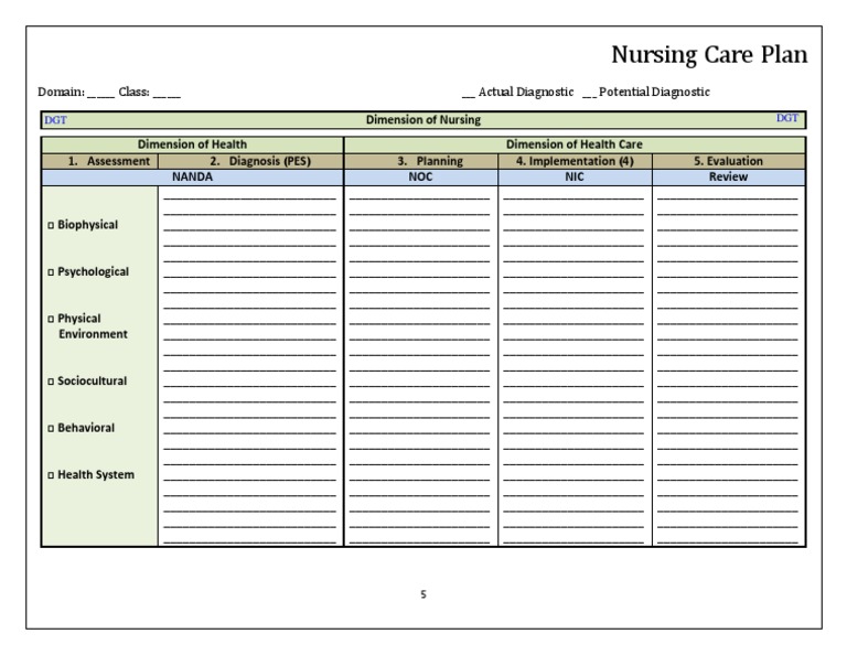 Nursing Care Plan Template Guide | PDF