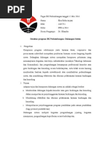 Instrumen Evaluasi Program BK | PDF