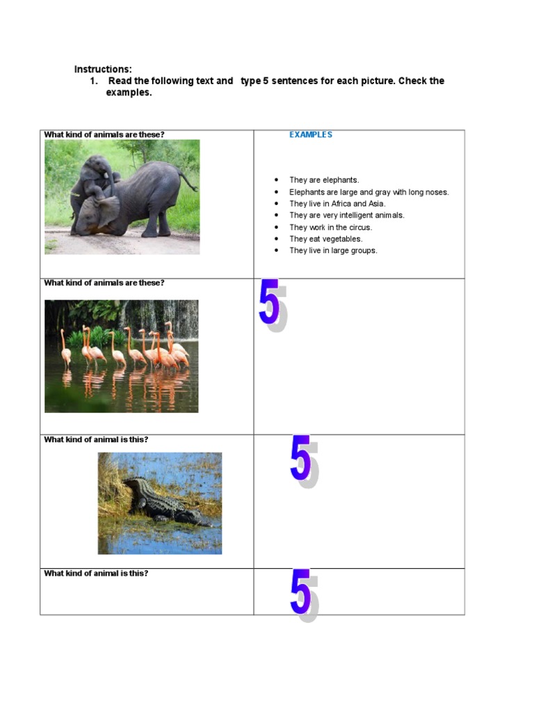 Animals at the Zoo: Instructions for Writing Descriptive Sentences and ...