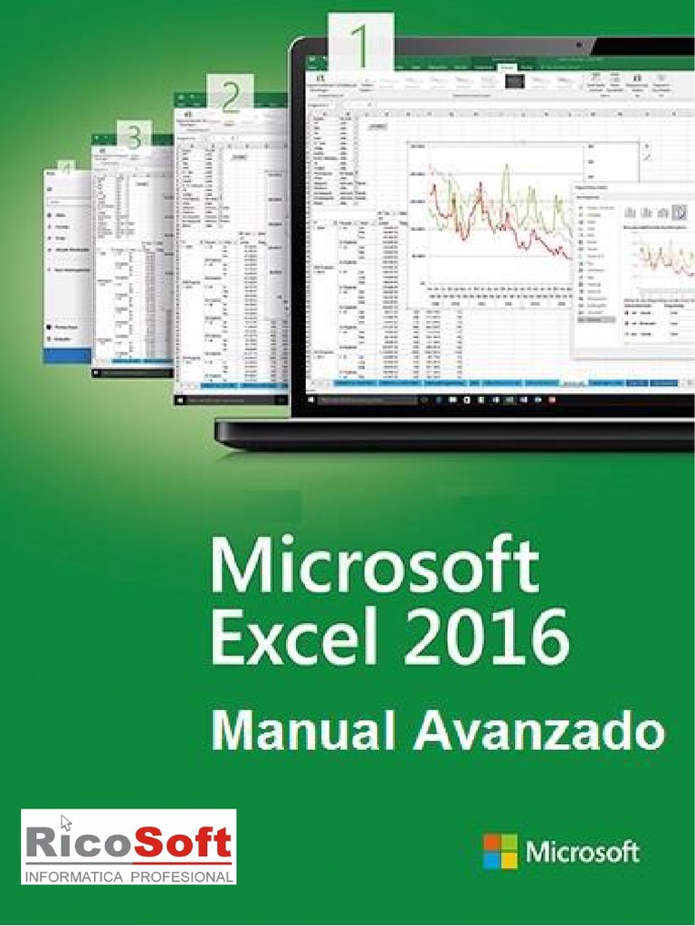 Guía Avanzada Excel 2016: Funciones y Análisis | PDF