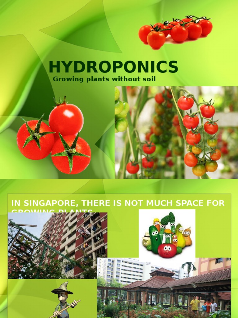 Hydroponics | PDF | Hydroponics | Soil