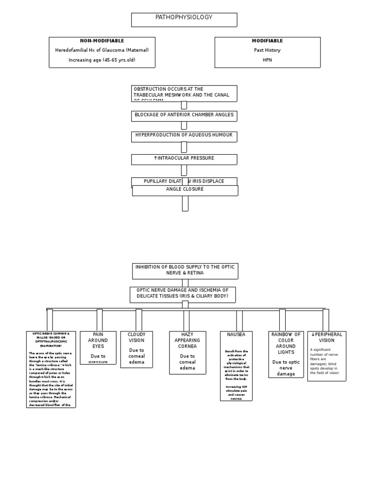 Pathophysiology: Modifiable Non-Modifiable | PDF
