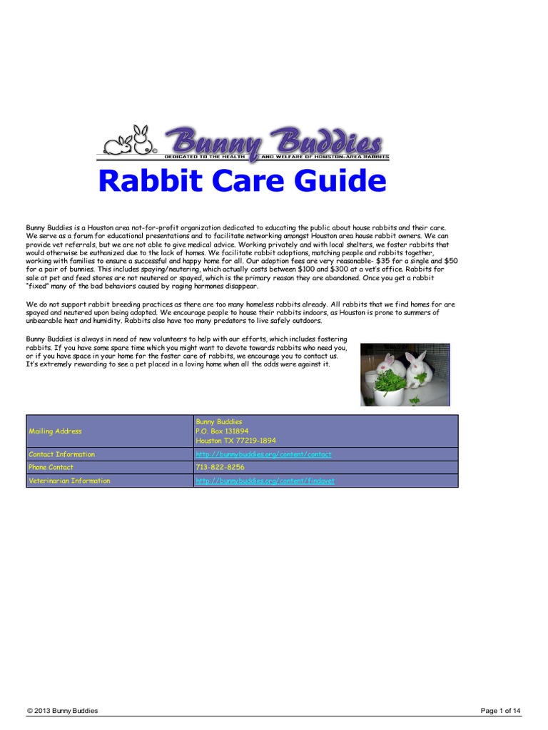 Rabbit Care Guide: Living With A House Rabbit: Bunny Basics | PDF ...