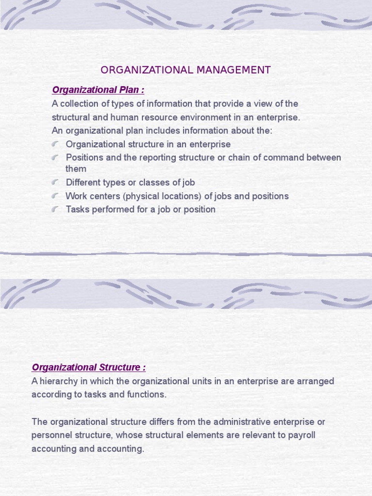 Organizational Management | PDF | Organizational Structure | Software ...