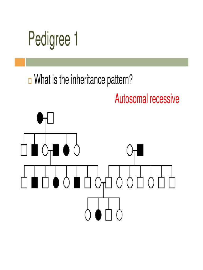Pedigree Analysis and Inheritance Patterns | PDF