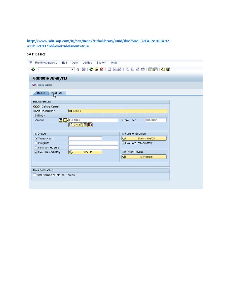 SAP SAT Basics and Performance Analysis | PDF