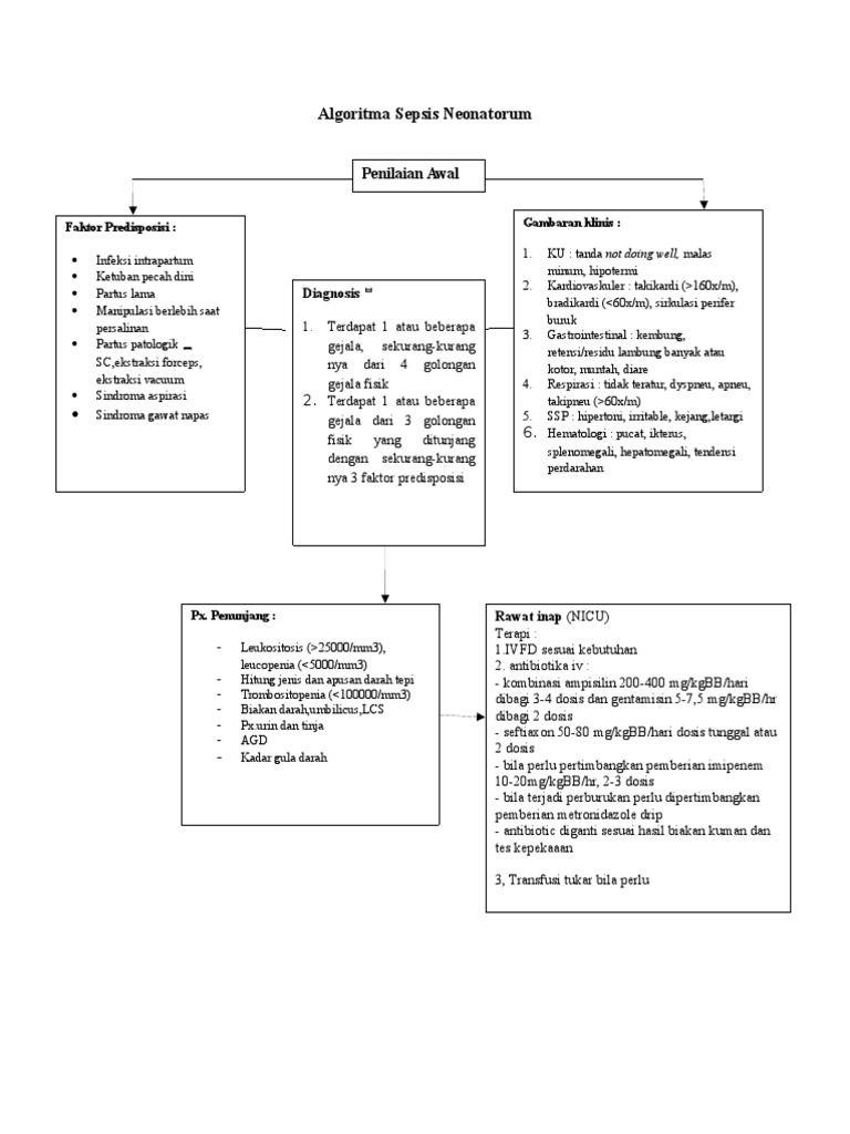 Algoritma Sepsis Neonatorum | PDF