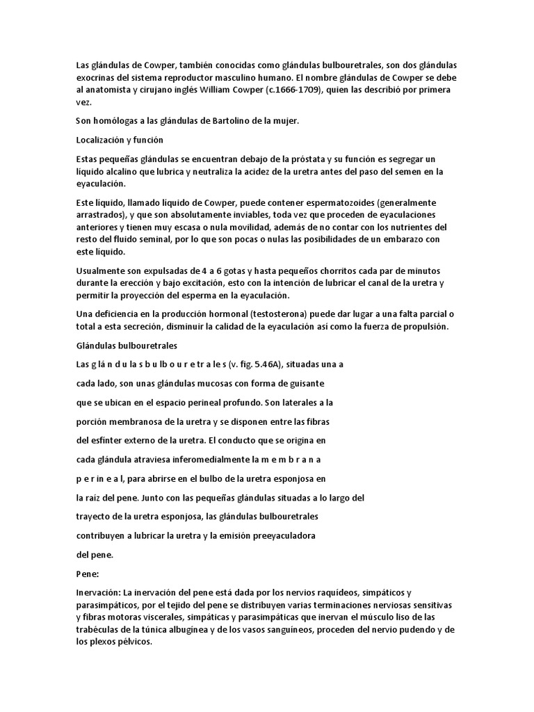 Función y ubicación de las glándulas de Cowper | PDF | Anatomía humana ...