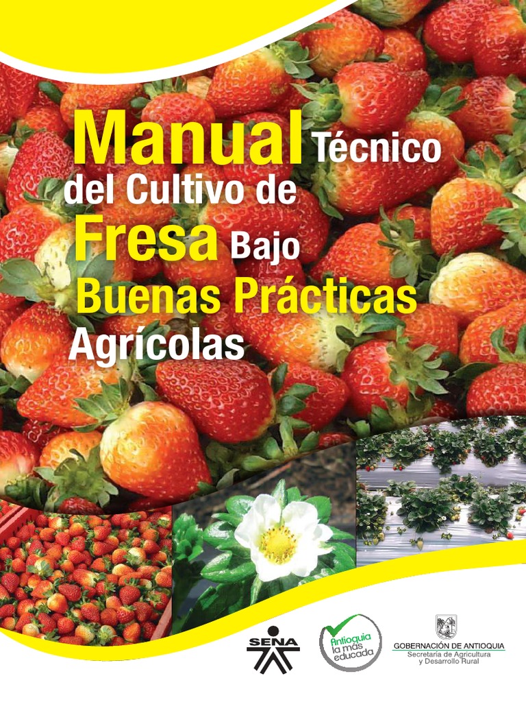 Manual de Cultivo de Fresa y BPA | PDF