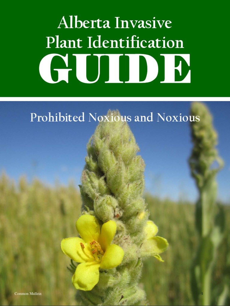 Weed Identification Book | PDF | Agriculture | Botany