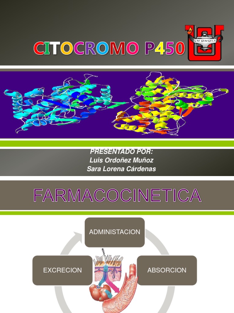 Citocromo p450 | PDF | Citocromo P450 | Metabolismo