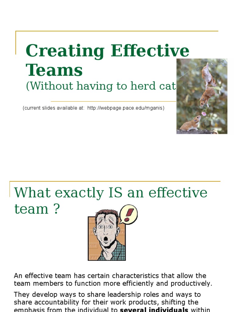 Building Effective Teams for Success | PDF | Team Building | Leadership