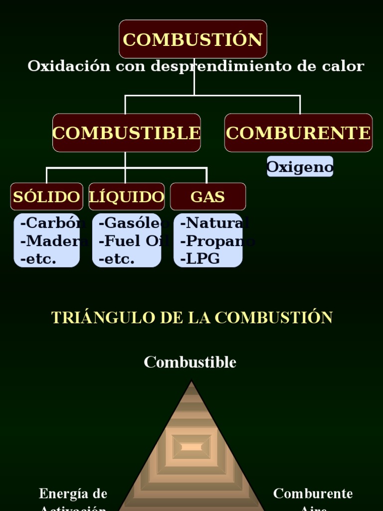 Combustión: Combustibles y Comburentes | PDF | Combustión | Combustibles
