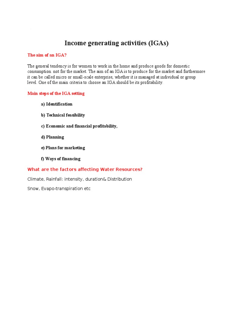 Guide to Income Generating Activities | PDF | Business