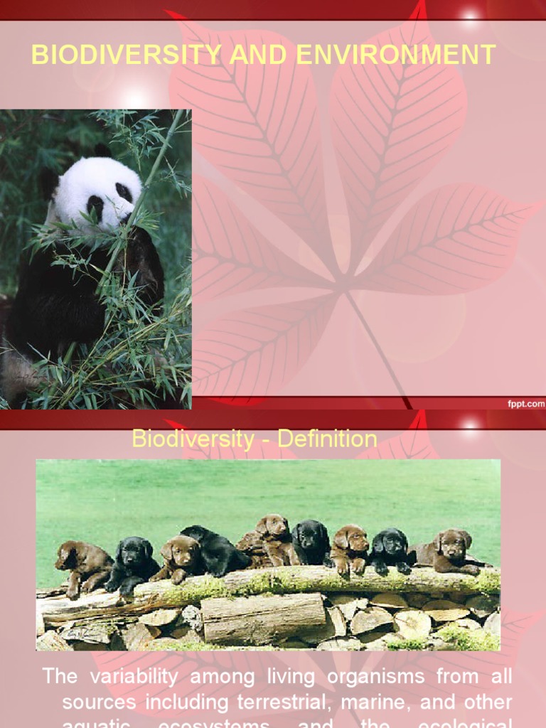 Biodiversity: Importance and Threats | PDF | Biodiversity ...