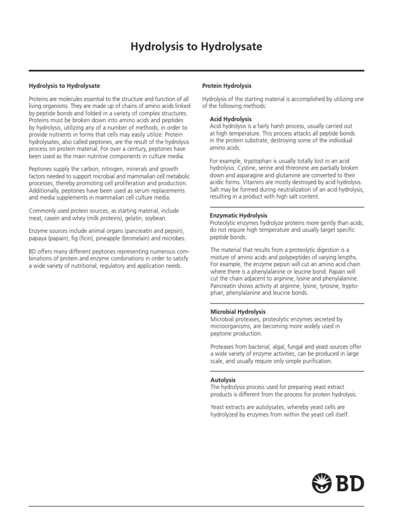 Hydrolysis To Hydrolysate | PDF | Hydrolysis | Proteolysis