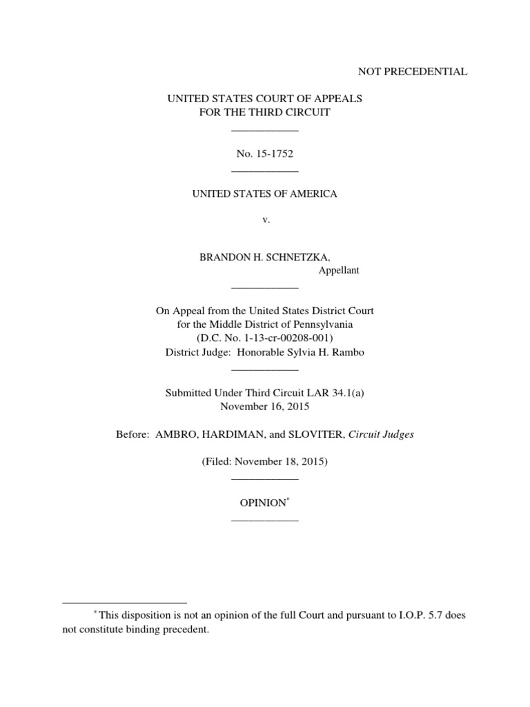 Appeal of Brandon Schnetzka's Conviction | PDF | United States Federal ...