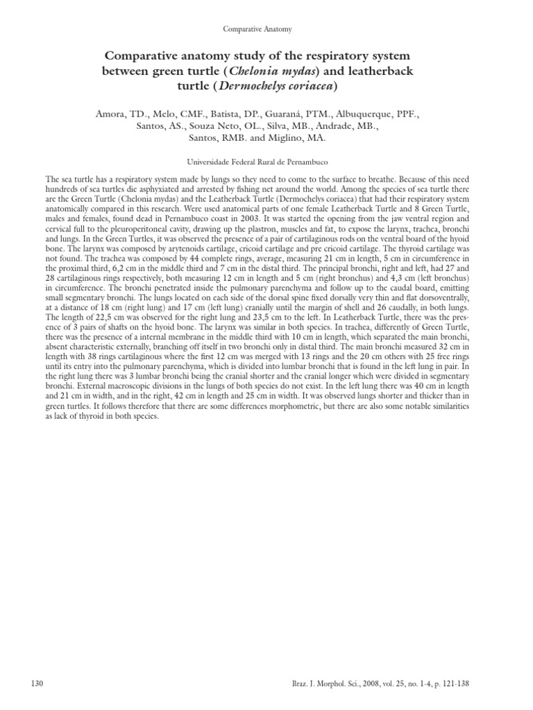 A Comparative Anatomy Study of the Respiratory Systems of Green and ...