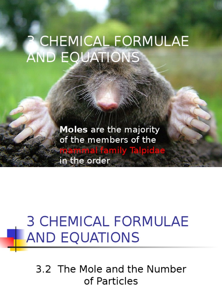 3 Chemical Formulae and Equations: Moles Are The Majority | PDF | Mole ...