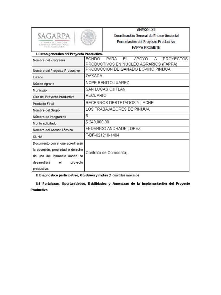 1 Anexo Lxii Formulación Del Proyecto Productivo Fappa - Promete | PDF ...