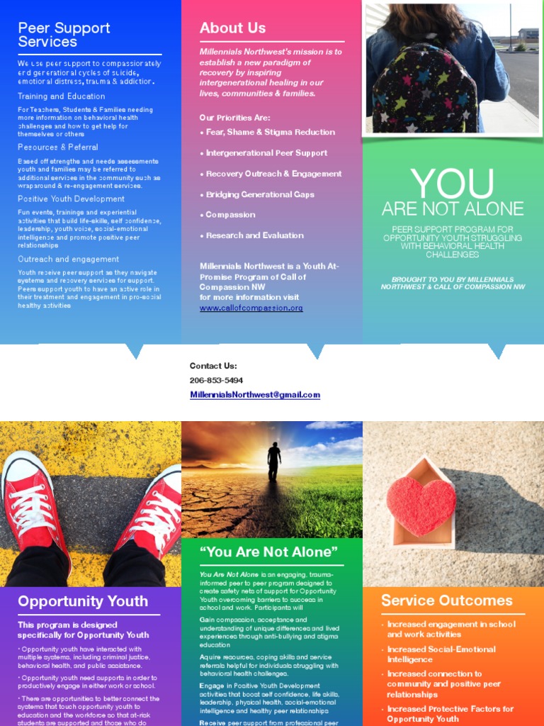 School Based Peer Support Tri-Fold 2 | PDF | Recovery Approach | Mental ...