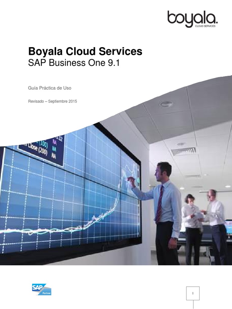 Manual - Básico-SAP BO PDF