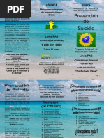 CRIM - Formulario | PDF