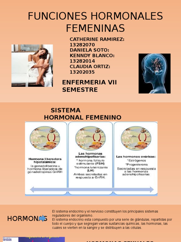 Funcionamiento de Las Hormonas Femeninas | PDF | Ciclo menstrual | Hormona luteinizante