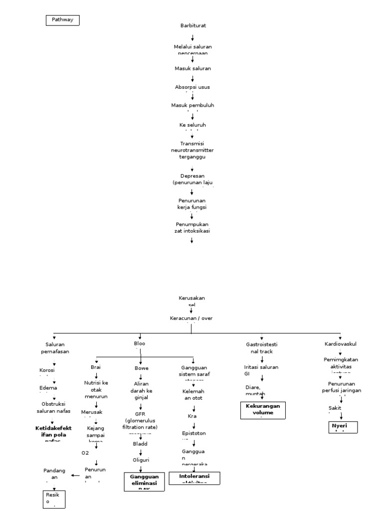 Pathway Kasus Keracunan | PDF