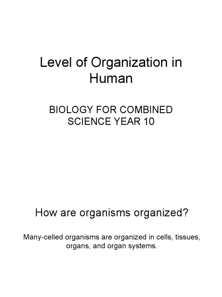 Level of Organization in Human: Biology For Combined Science Year 10 ...