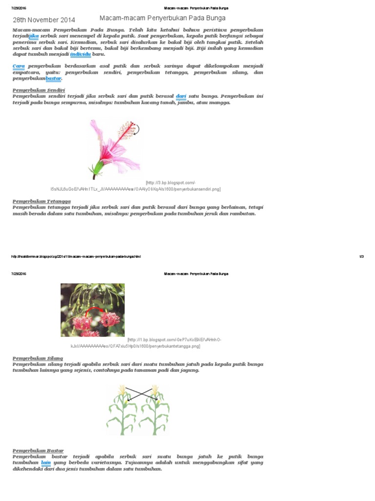 Macam-Macam Penyerbukan Pada Bunga PDF | PDF