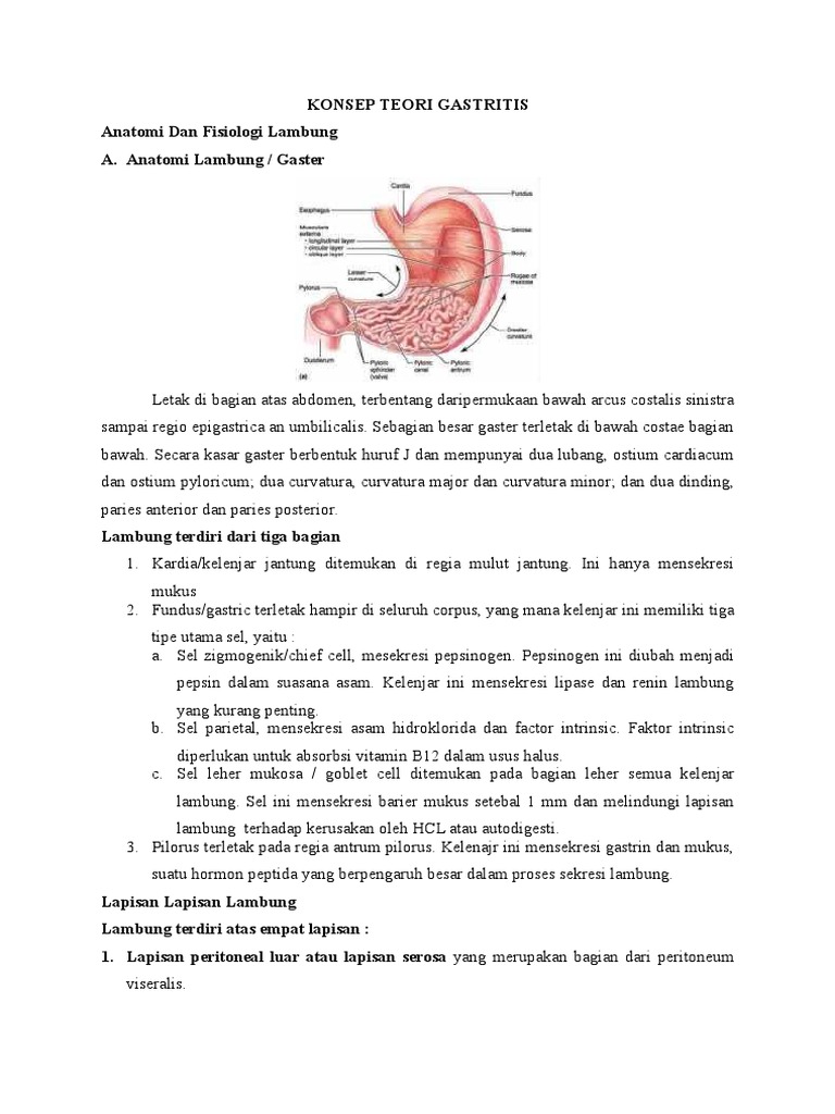Konsep Teori Gastritis | PDF