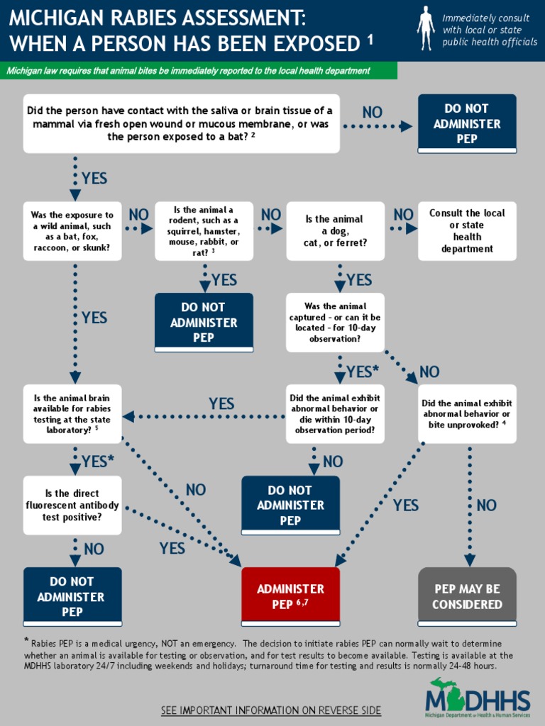Rabies Contact Flowchart For Humans | PDF | Rabies | Veterinary Medicine