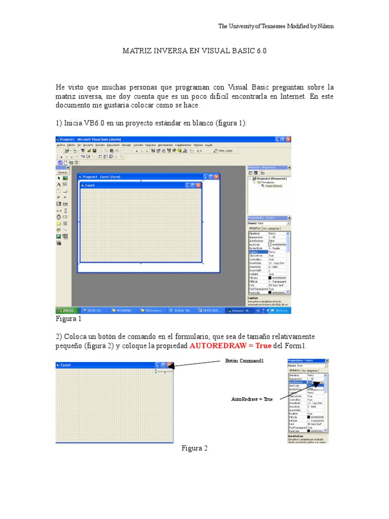 Matriz Inversa en Visual Basic 6 | PDF