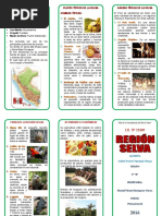 Tríptico Región Costa Ucayali | PDF | Viajes