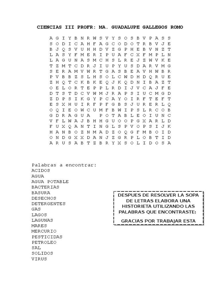 Sopa de La Contaminacion Del Agua