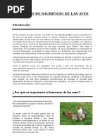 Visita Al Rastro | PDF | Carne | Matadero