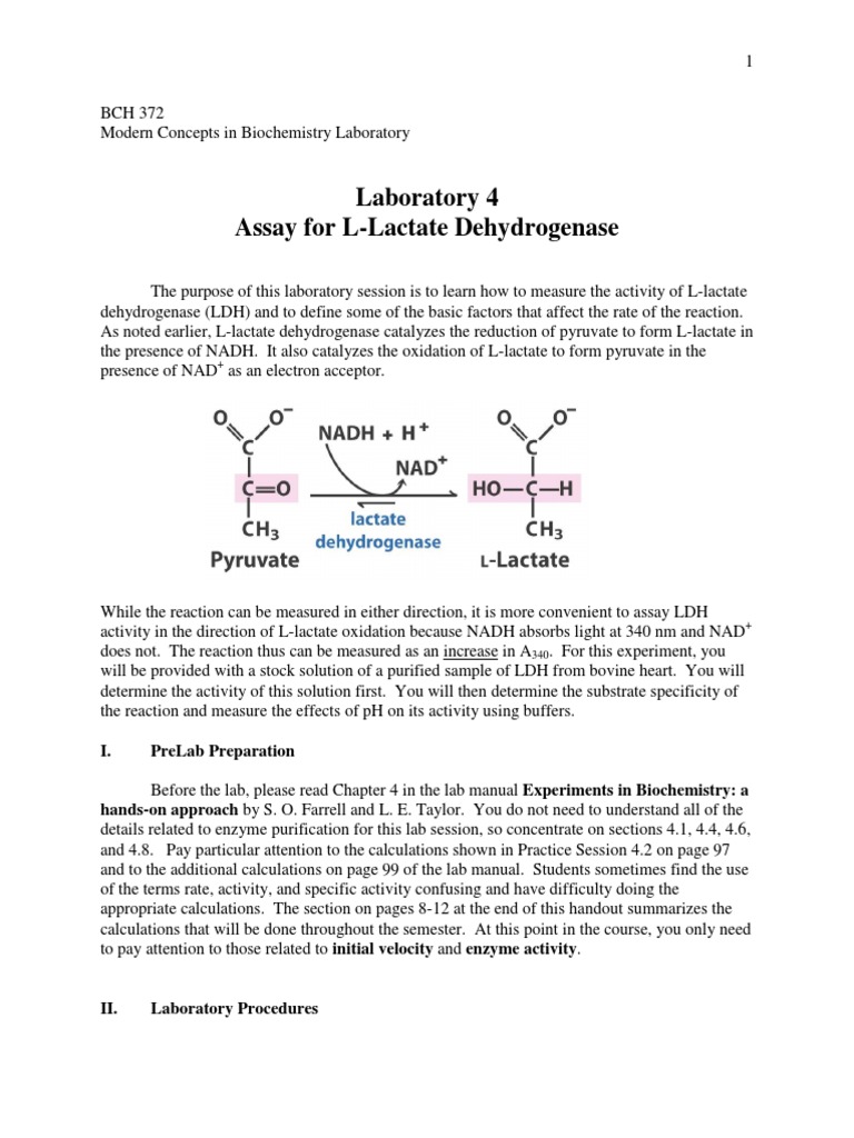 LDH Activity Measurement Protocol | PDF | Lactate Dehydrogenase ...