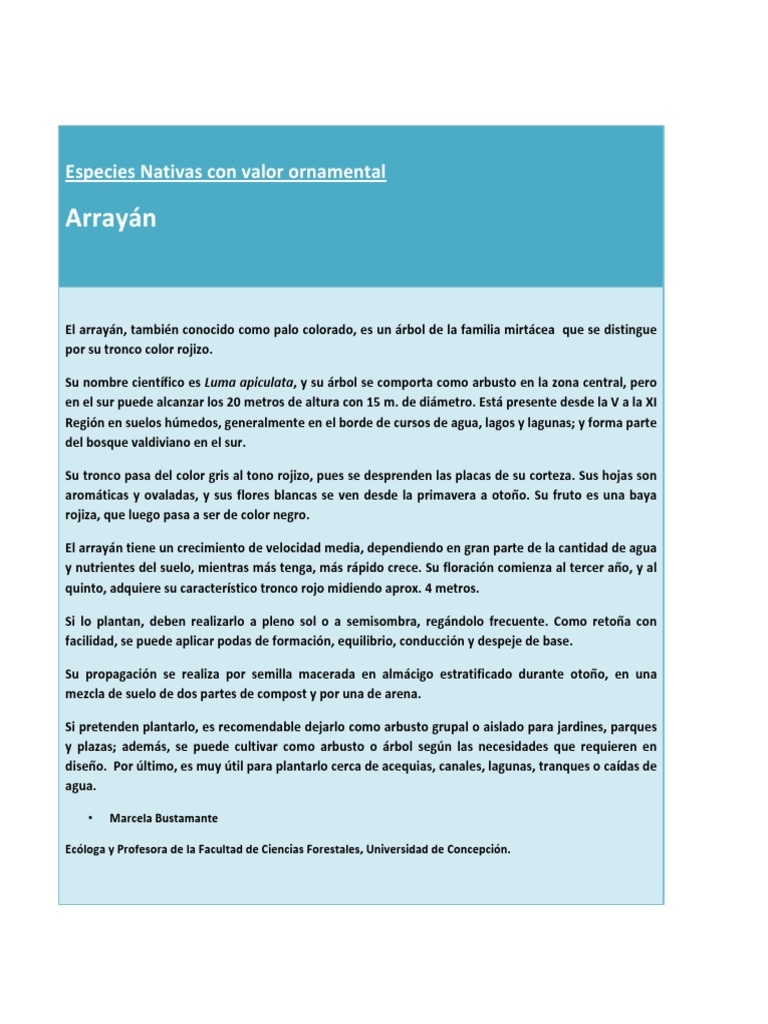 Ficha Arrayan PDF | PDF