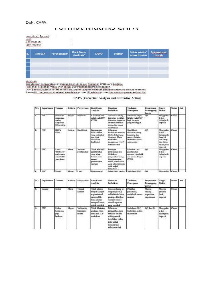 Capa | PDF | Quality Management | Supply Chain Management