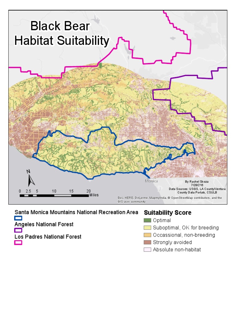 Black Bear Habitat Suitability Analysis | PDF