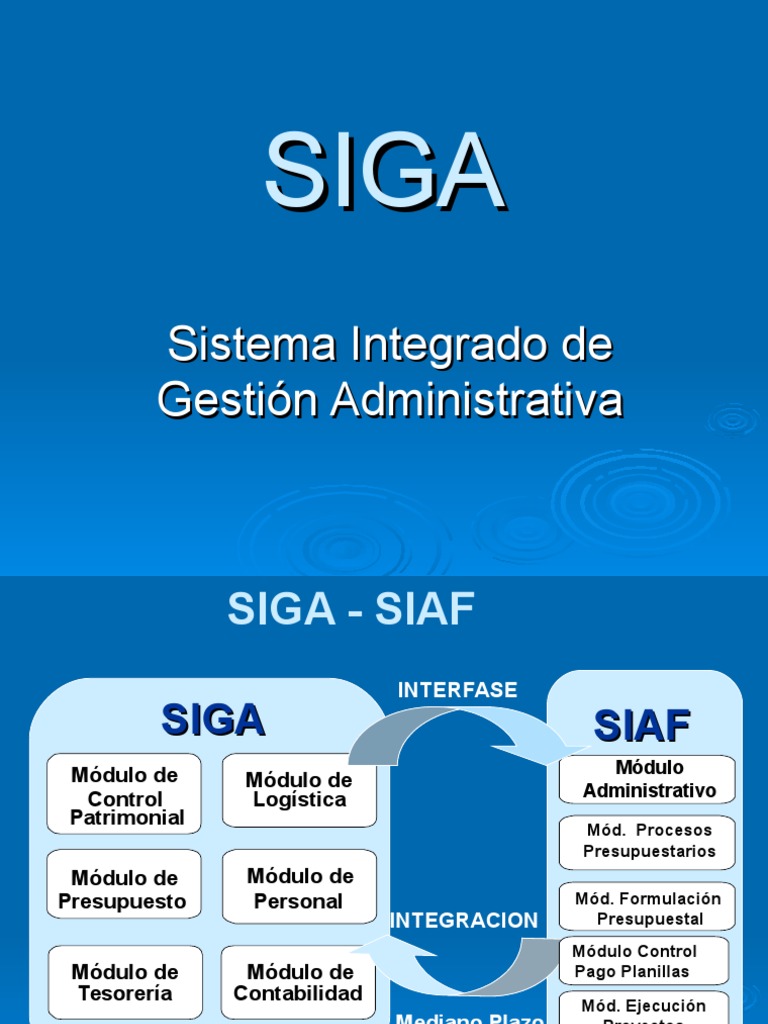 5 SIGA - Conceptos | PDF | Logística | Contabilidad