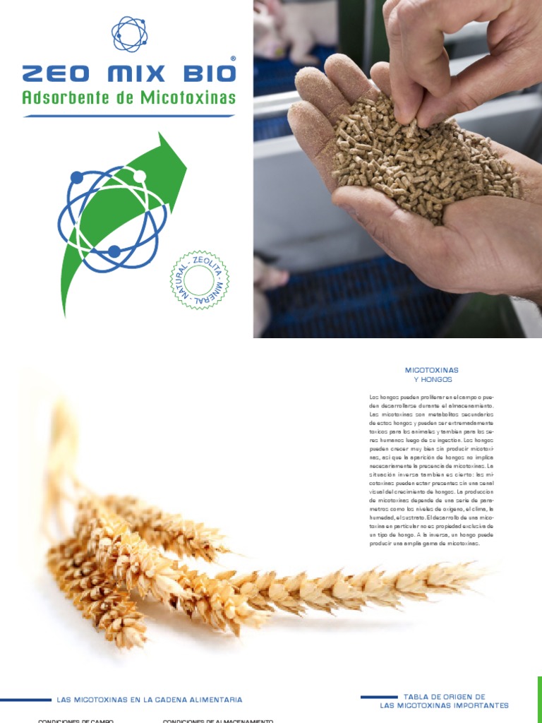 ZEO MIX BIO Presentación PDF | PDF | Hongo | Alimentos