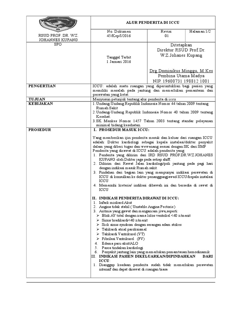 Spo Pelayanan Iccu | PDF