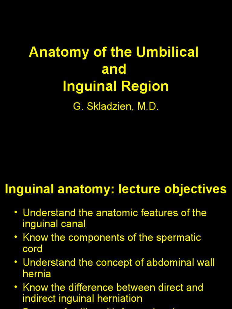 2anatomy of The Inguinal Region | PDF | Abdomen | Human Anatomy