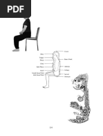 Autogenic Training Script | PDF | Heart Rate