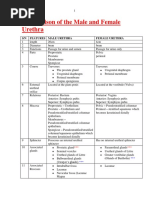 Comprehensive List of 206 Human Bones | PDF | Vertebra | Hand