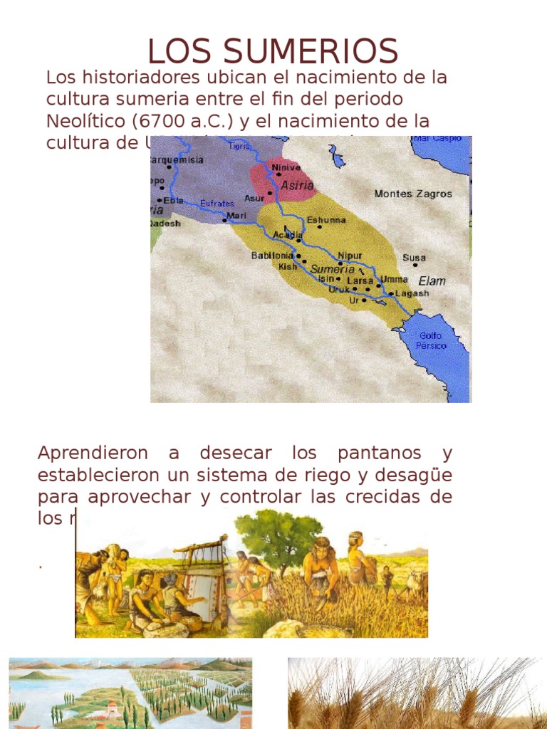 Sumerios y Su Vida | PDF
