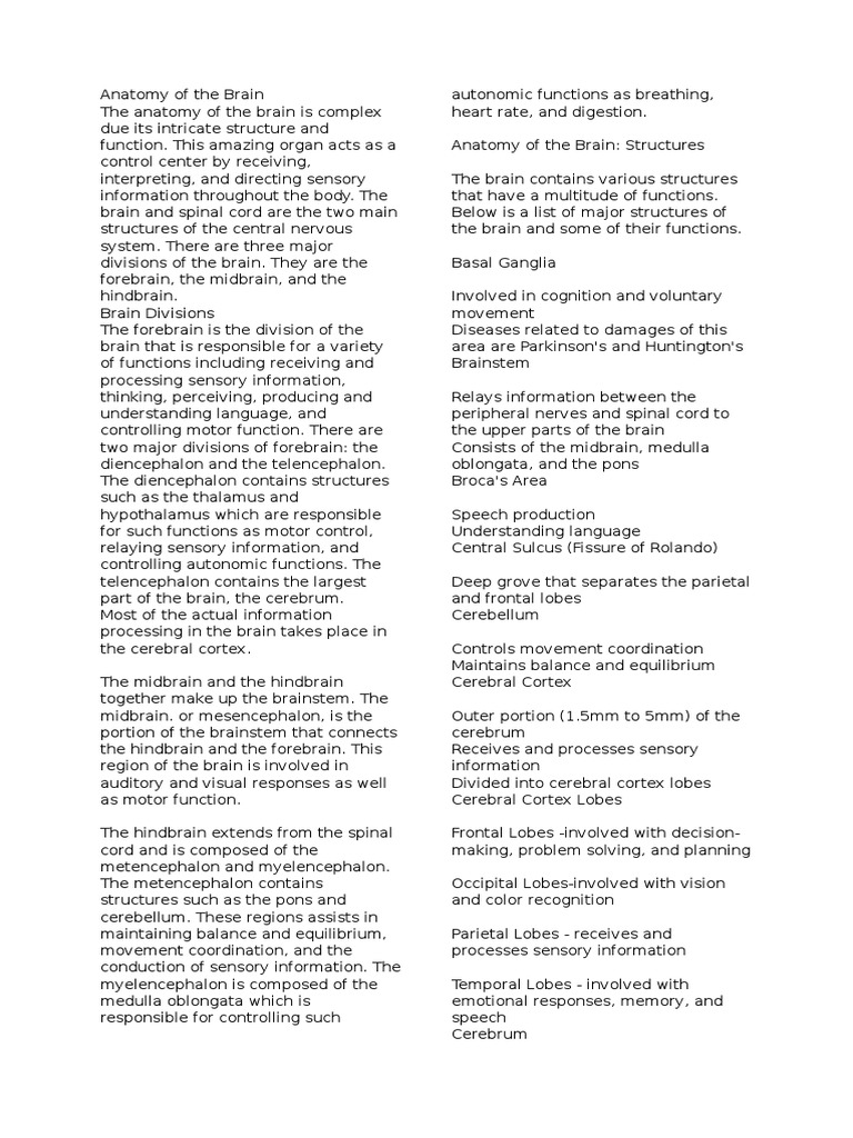 Brain Anatomy: Key Structures & Functions | PDF | Cerebrum | Brainstem
