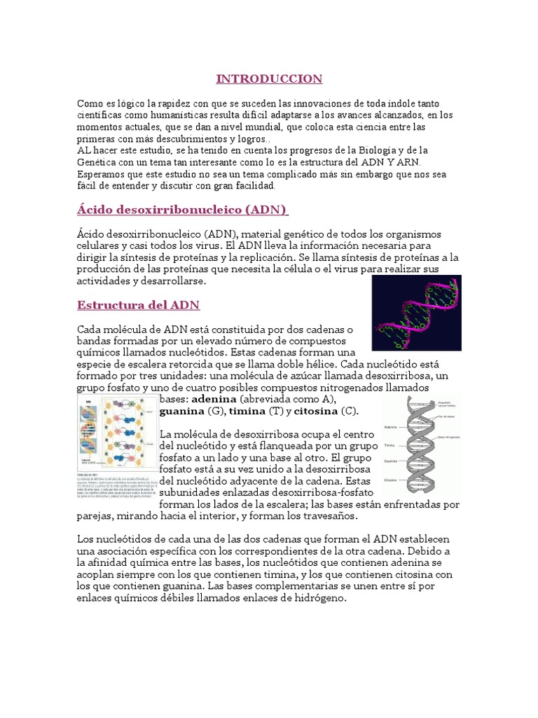Introduccion Adn Arn | PDF | Messenger Rna | Adn